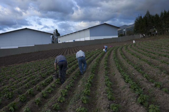 Retratos del pueblo Kitu Kara - La Barra Espaciadora